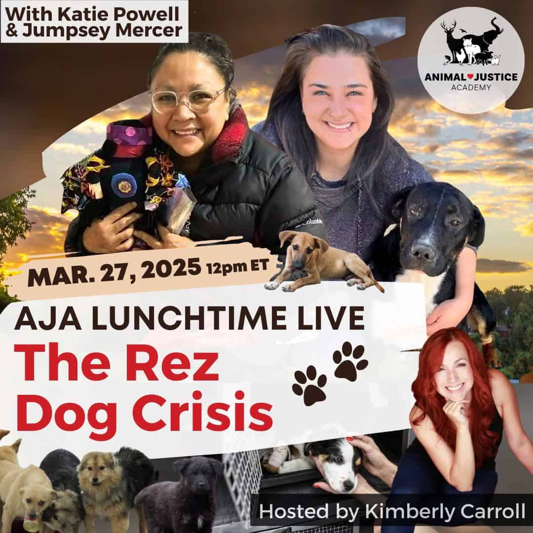 The Rez Dog Crisis. Zoom. | Animal Rights Toronto