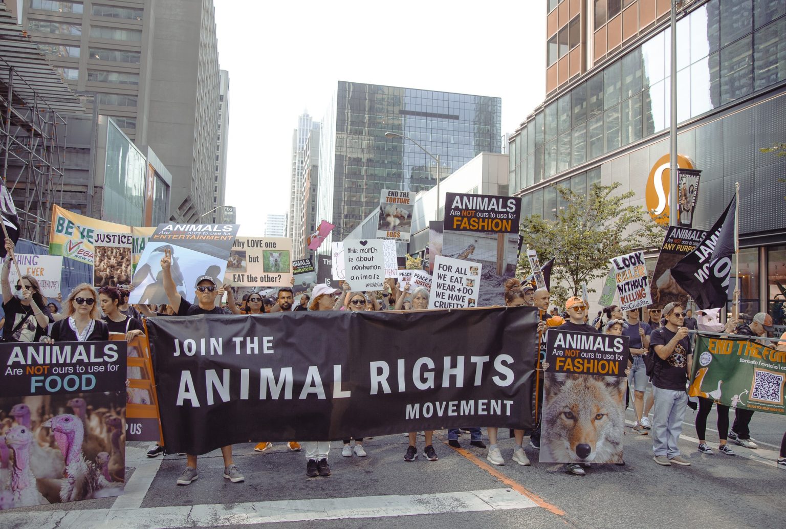 Toronto Animal Rights March 2026 | Animal Rights Toronto